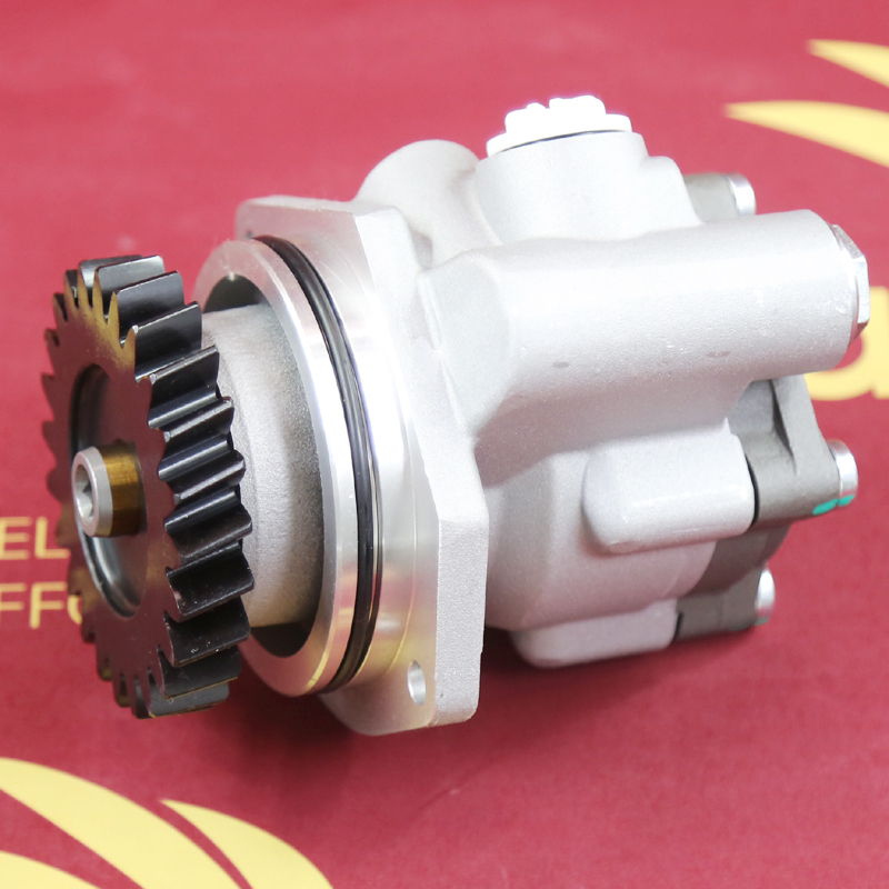 1002054202 Pompes de direction assistée pour WEICHAI WP12 SHACMAN MAZ ...